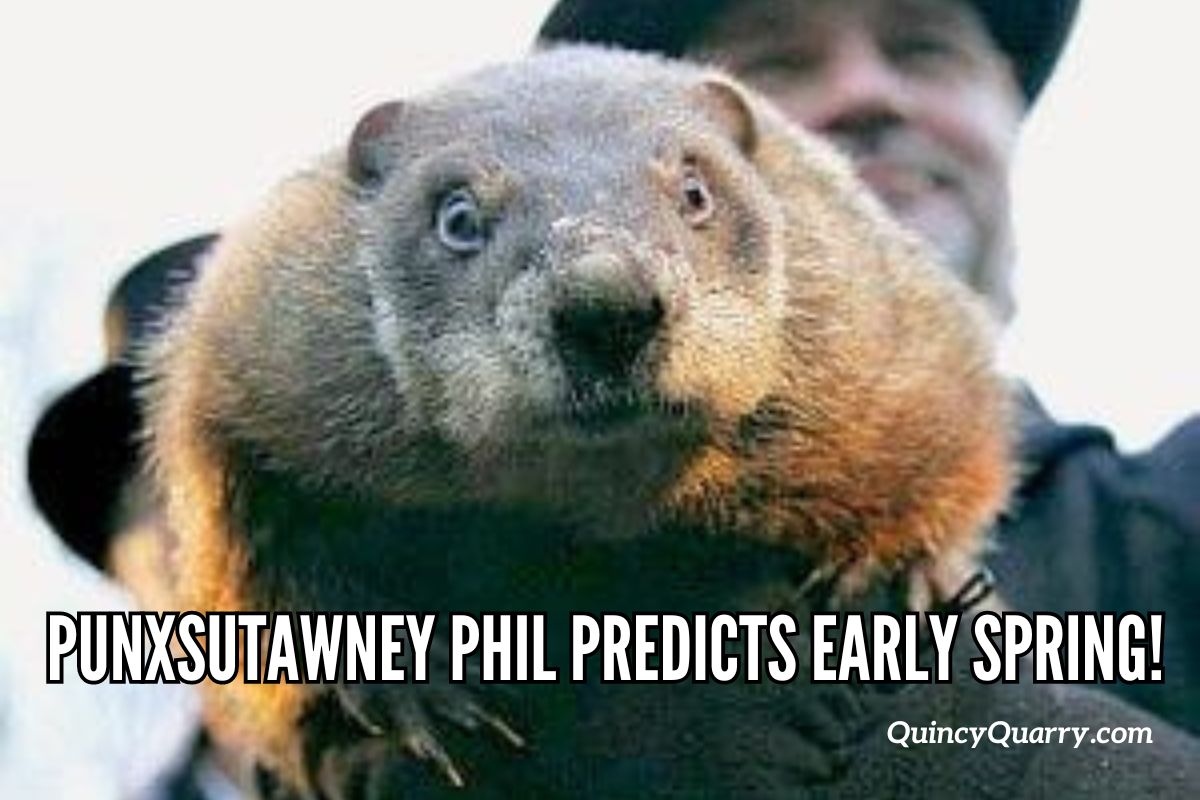 Quincy News: Punxsutawney Phil Predicts Early Spring!