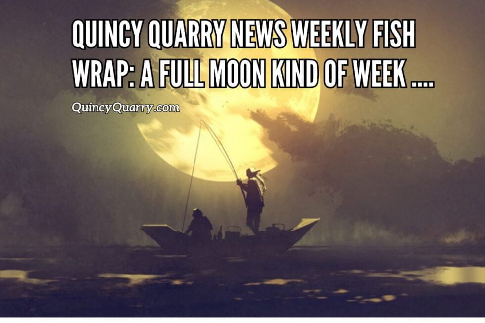 Quincy News: Quincy Quarry News Weekly Fish Wrap: A Full Moon Kind Of ...
