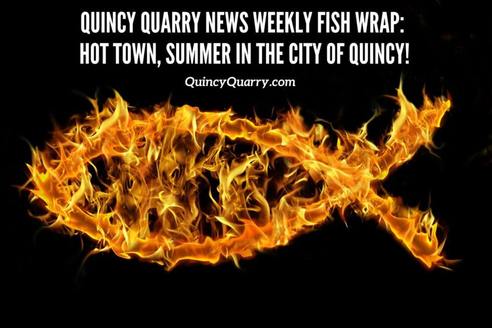 Quincy News: #QuincyQuarryNews #WeeklyFishWrap: Hot Town, Summer In # ...